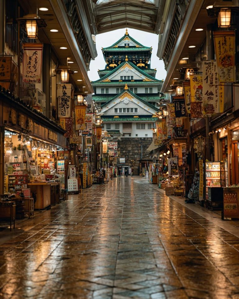 Shops near a Traditional Japanese Castle